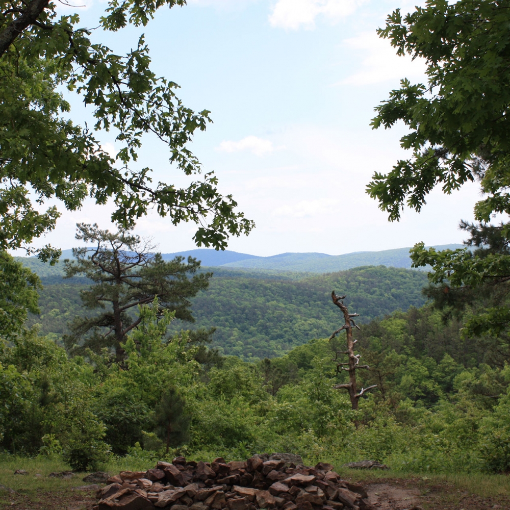 Peckerwood Knob Cabin Rentals | Secluded Cabin Rentals